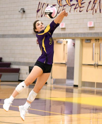 Finucan secures all-NCC first-team honor | News, Sports, Jobs - The ...